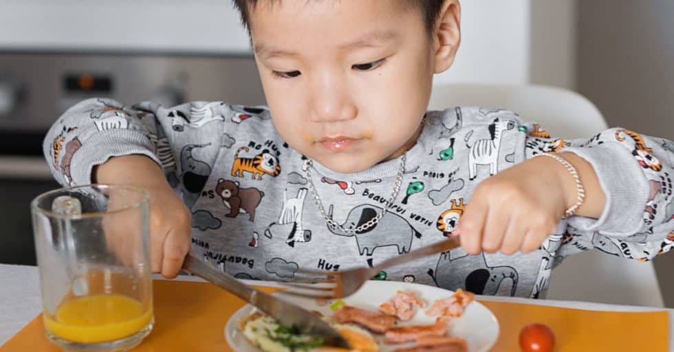 Understanding Your Picky Eater Toddler • Luxford Nutrition
